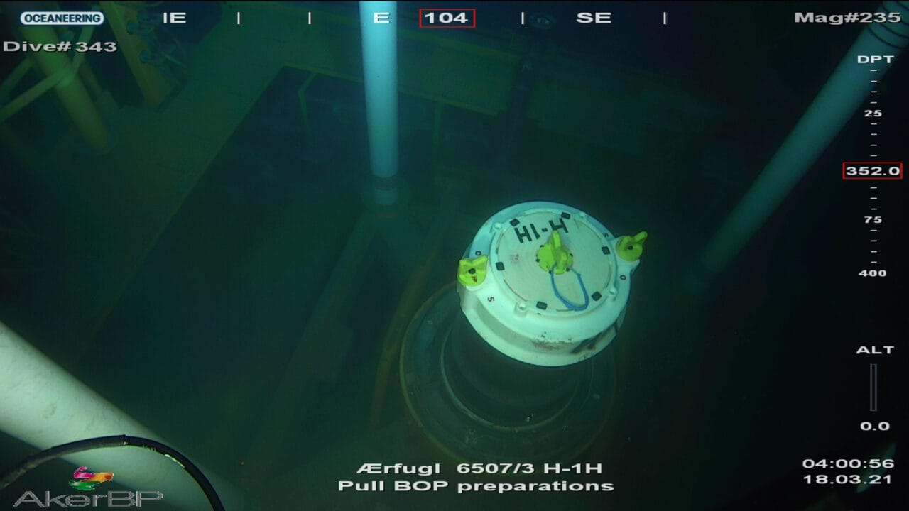 Light Cover Debris Cap - Djuvik