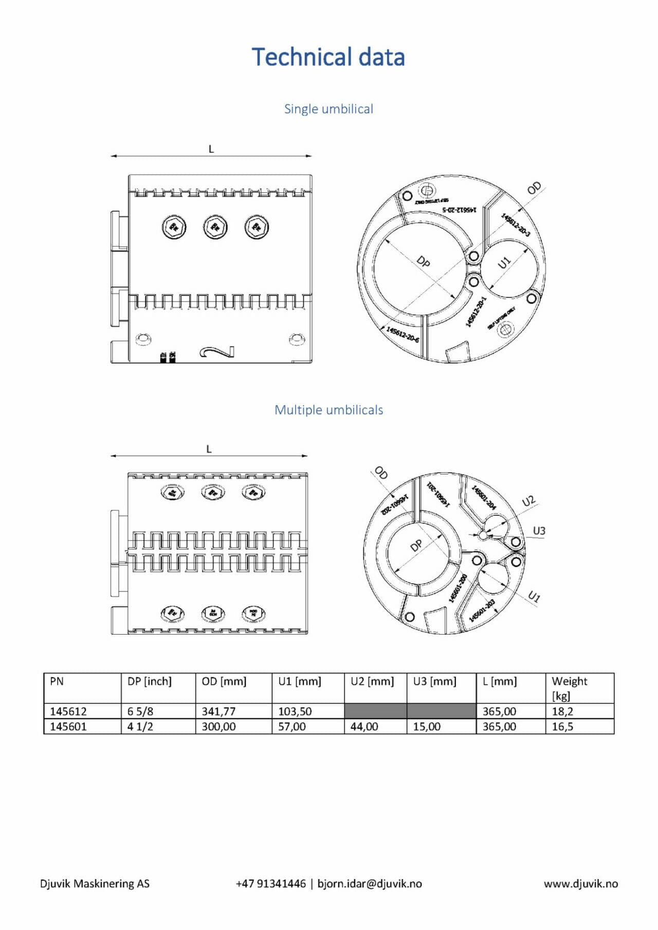 Cased Wear Joint & Riser Sealing Mandrel - Djuvik
