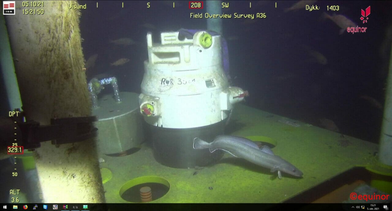 Lightweight Debris Cap - Djuvik